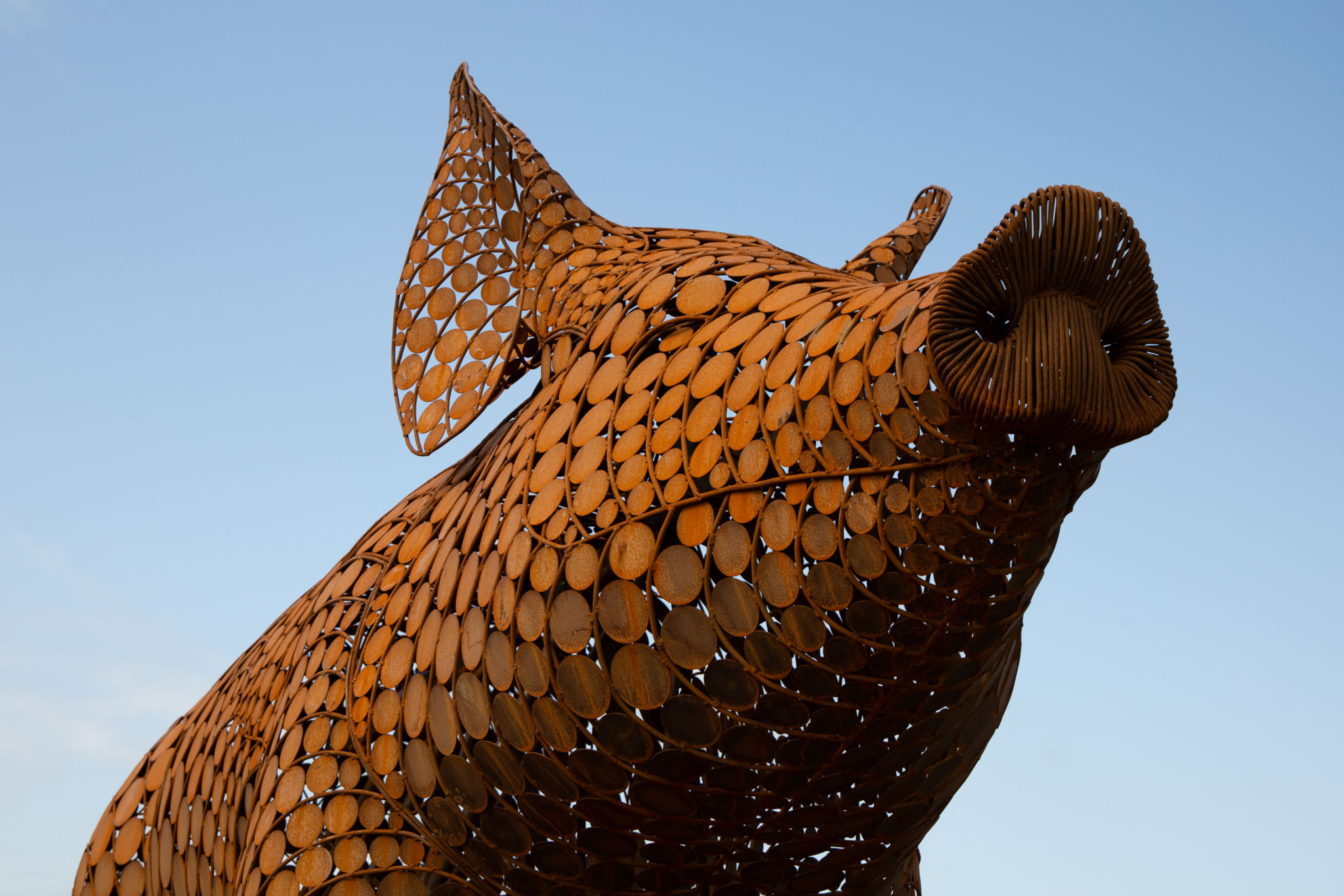 Review: Canon EOS RP - Focus Review