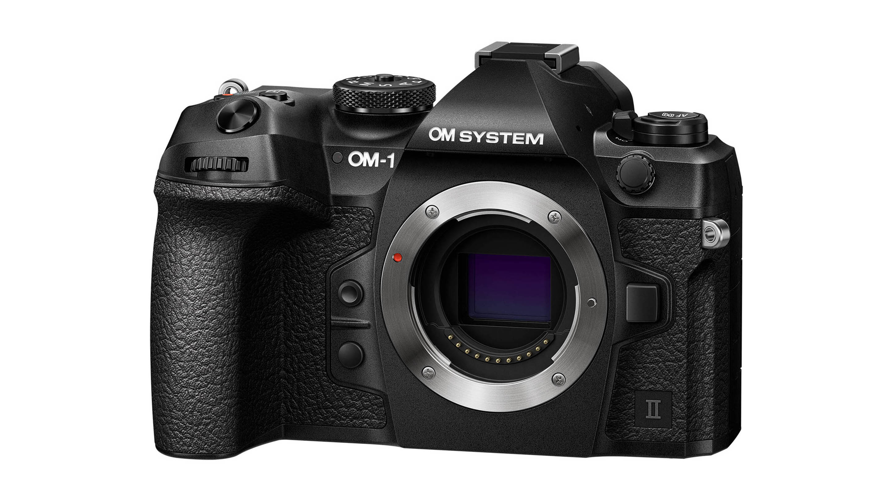 Review OM System OM-1 Mark II – Met GND, verbeterde AF en IBIS - Focus ...